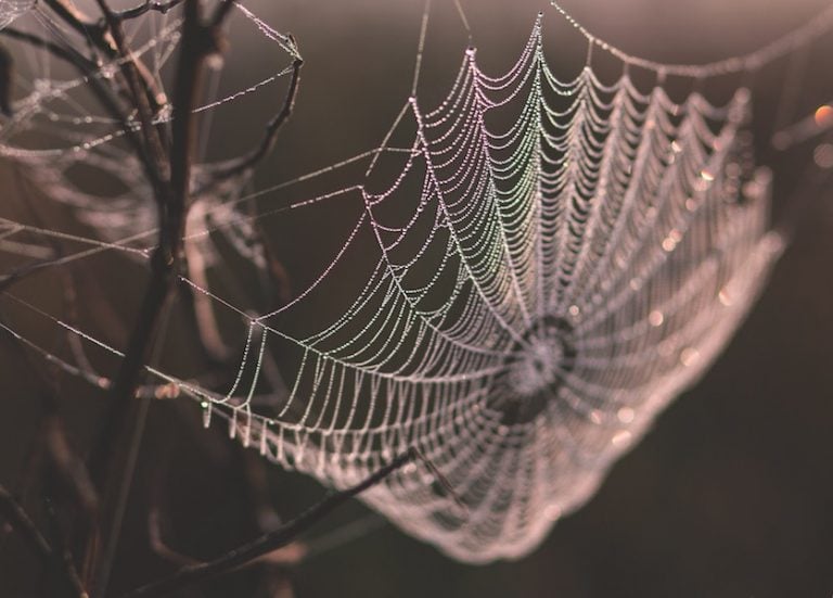 why-nested-views-are-bad-born-sql